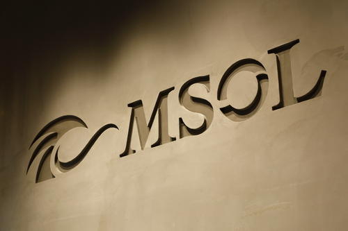 プロジェクトマネジメント実行支援のマネジメントソリューションズ（MSOL）